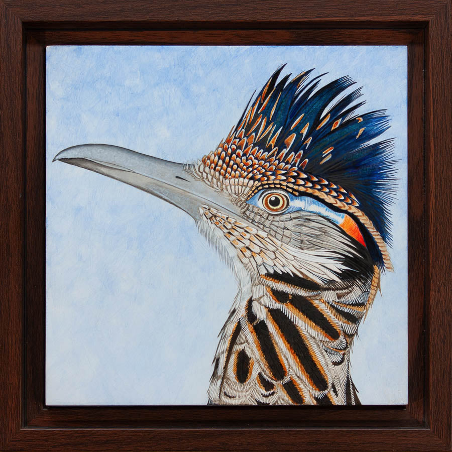 Road Runner Study - 6"x6" Acrylic – Wyatt Moody Wildlife Art